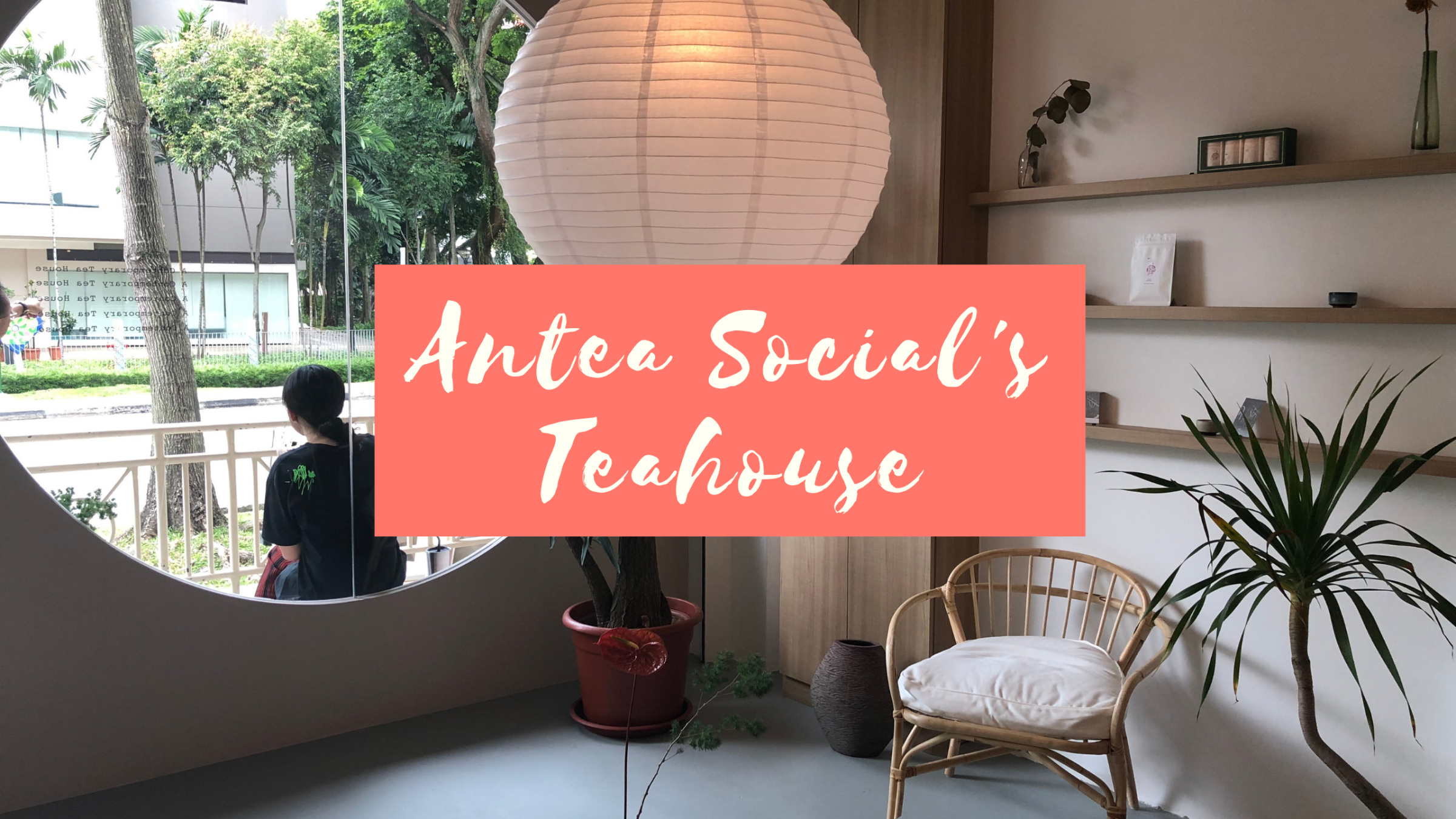 Teahouse Visit: Antea Social – Eustea Reads