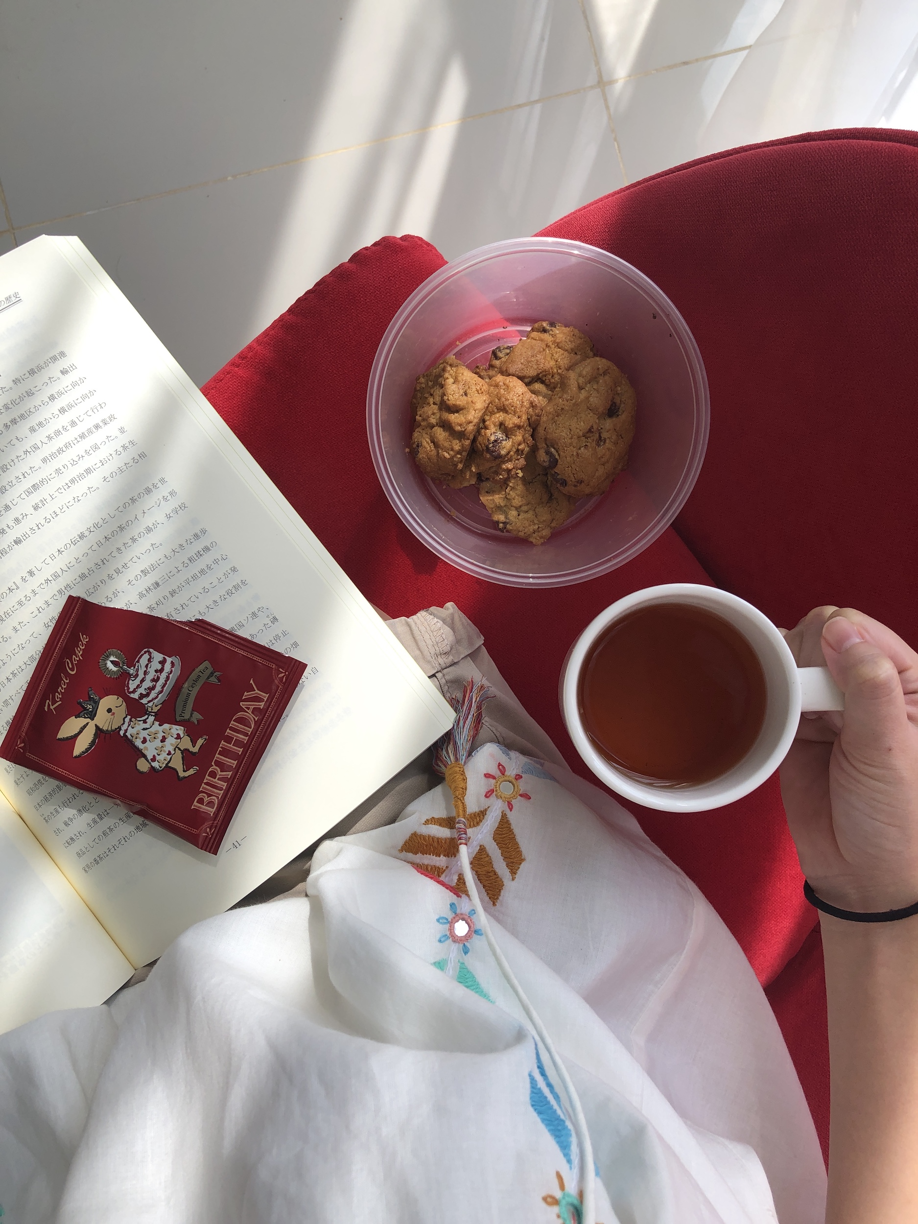 Quick Tea Reviews: Karel Capek Tea Box – Eustea Reads