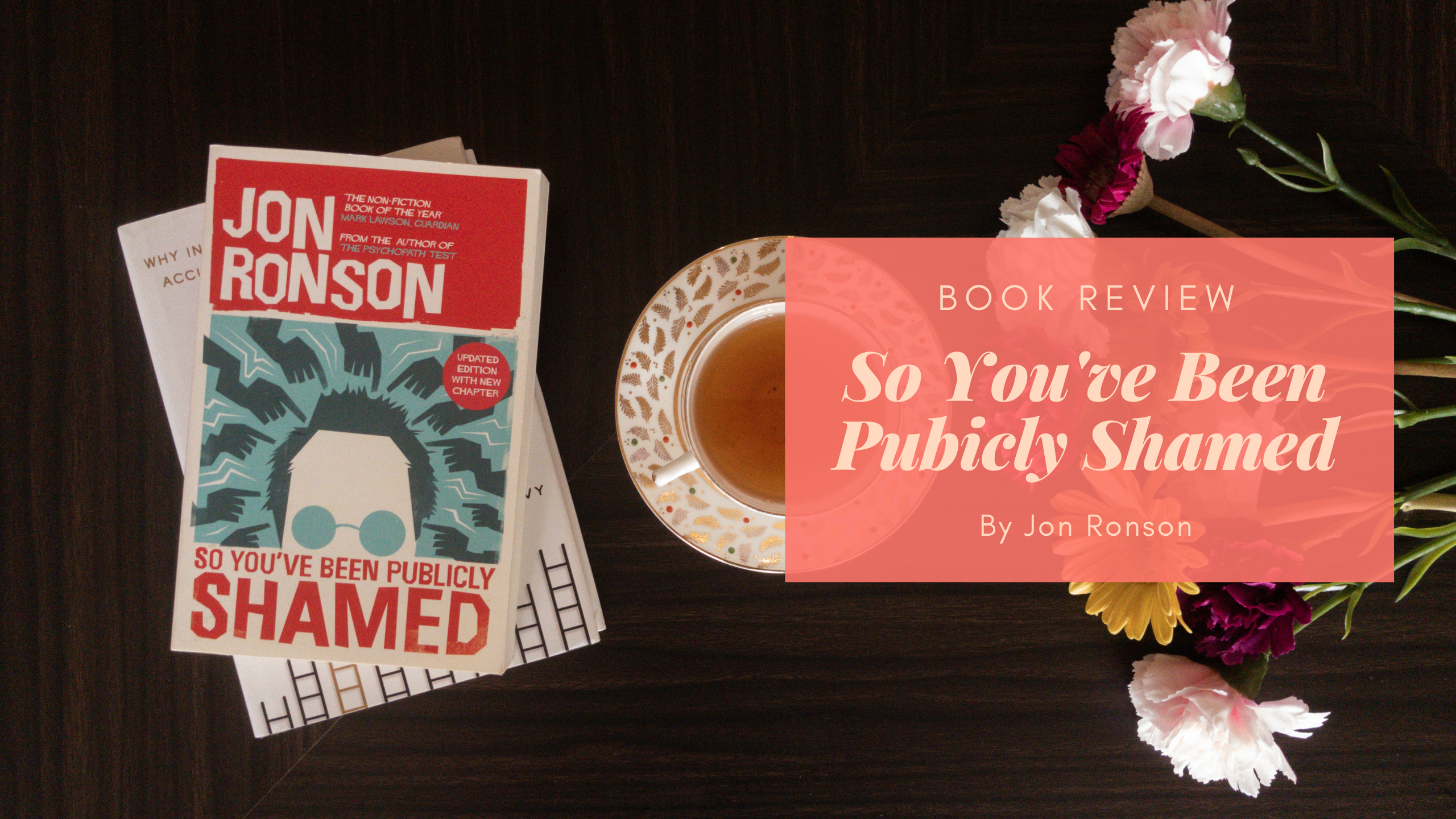 Two Books, One Review Part 1: So You've Been Publicly Shamed by Jon ...