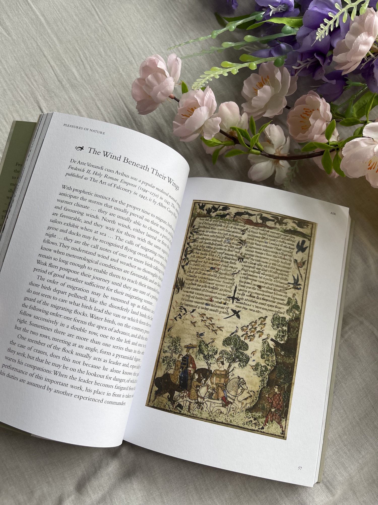 Book Review: Pleasures of Nature - A Literary Anthology selected by ...