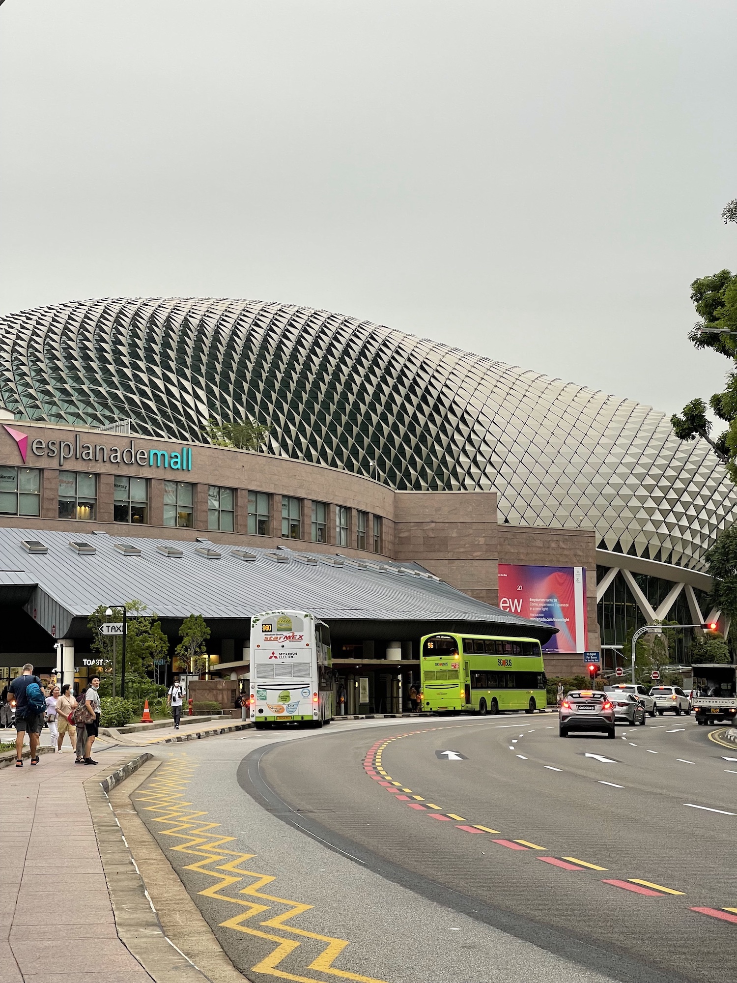 SingLib #5: Library@Esplanade – Eustea Reads