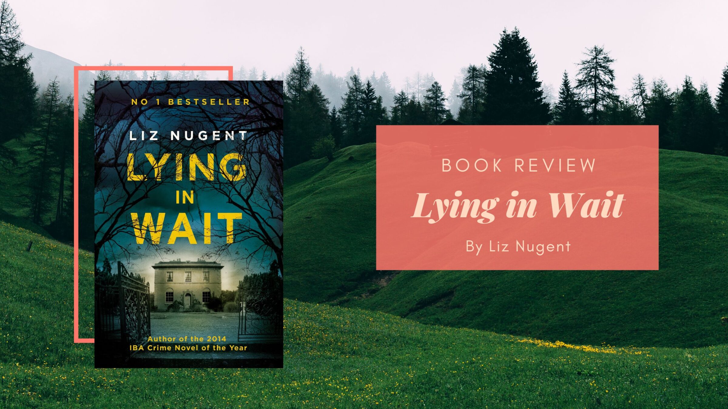 Book Review: Lying in Wait by Liz Nugent – Eustea Reads