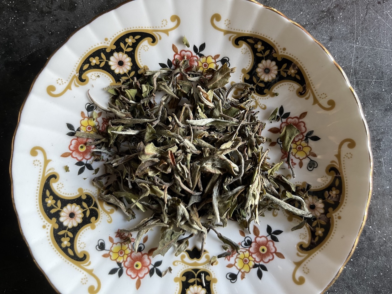 Tea Review: First Flush Himalayan White by Rare Tea Company – Eustea Reads